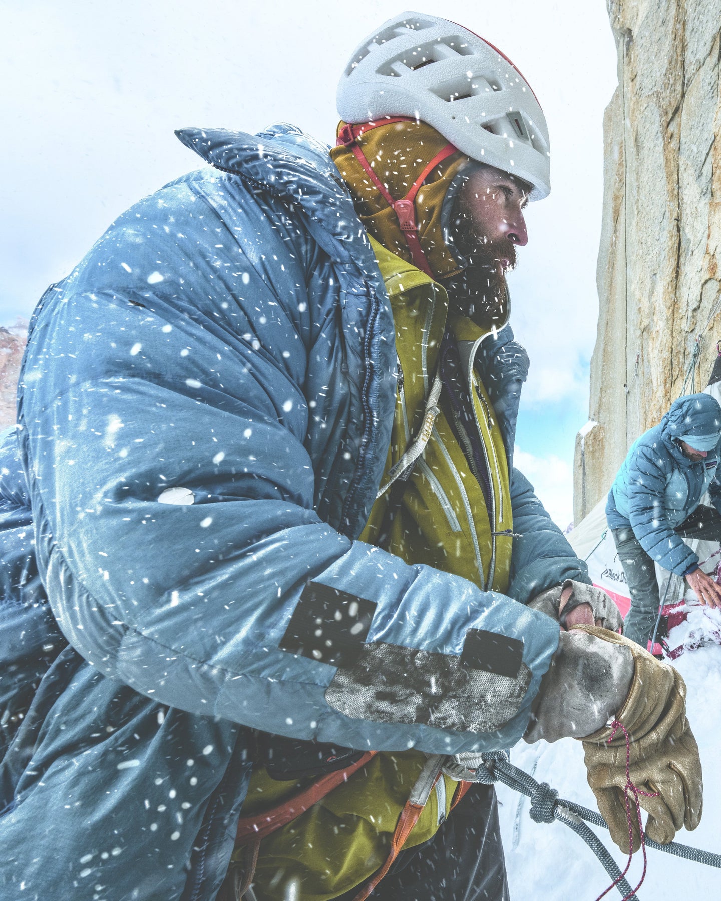 Patagonia Brand Page – Facewest.co.uk